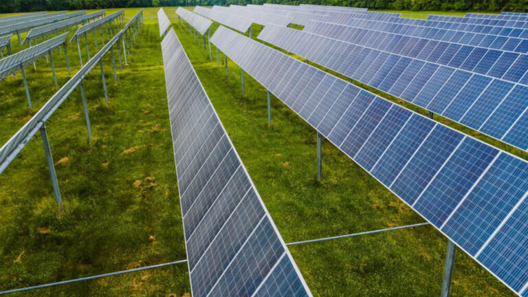 Agrivoltaics: How solar panels are changing agriculture - Professional ...