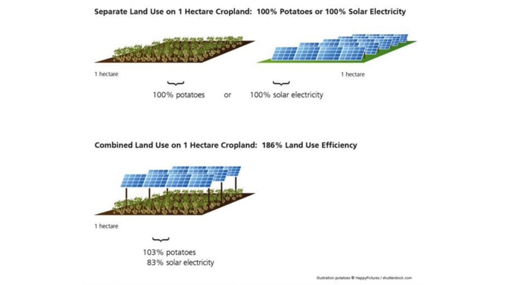 Agrivoltaics: How solar panels are changing agriculture - Professional ...