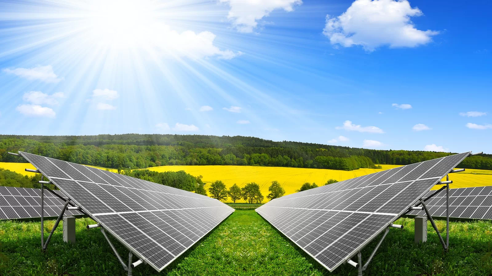 Latest Updates in the Photovoltaic Industry (July 2024) - Professional ...